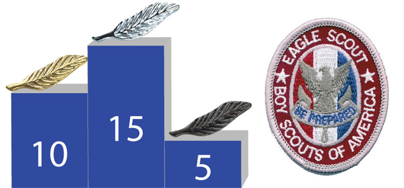 How many Eagle Scouts earned Eagle palms in 2013?