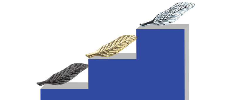 A step-by-step guide to how Eagle Palms work