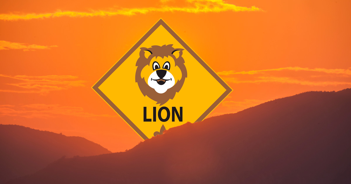 New details released about Lions