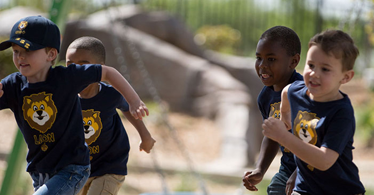 BSA expands Lion pilot program to nearly 200 councils