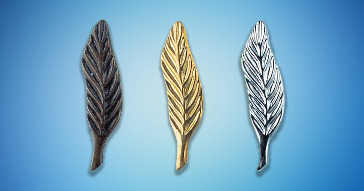 BSA allows retroactive Eagle Palms, under certain conditions