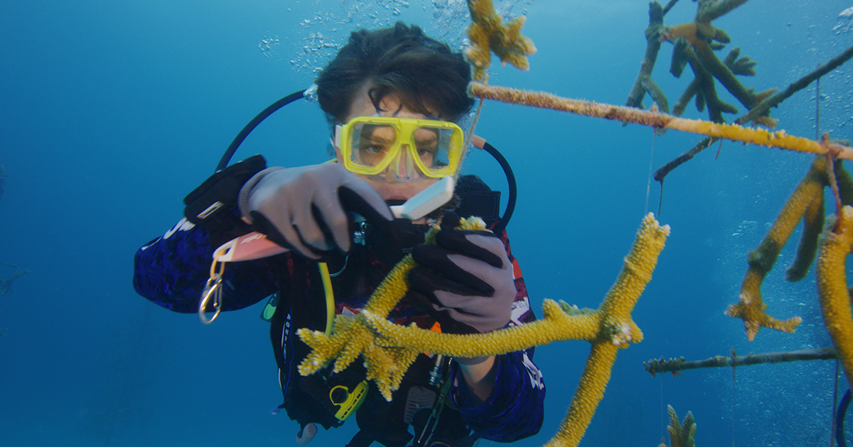 Scouts at the Sea Base work to rescue Florida’s coral reefs - On Scouting