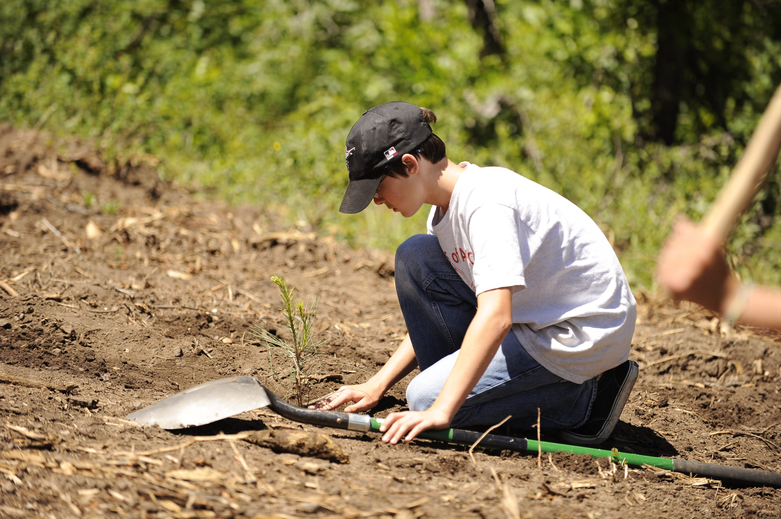 Scouts can receive the BSA’s highest honor for conservation and ...