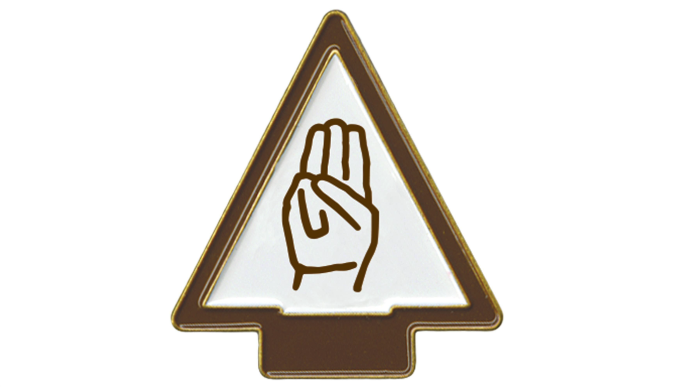 How to help Webelos transition to Scouts BSA during the spring