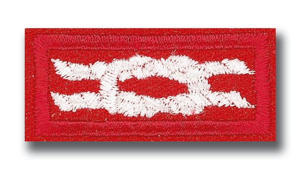 Order of the Arrow announces 2024 Distinguished Service Award recipients